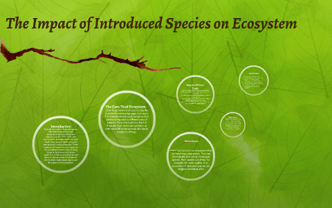 The Impact of Introduced Species on Ecosystem by Tamy Dobson on Prezi