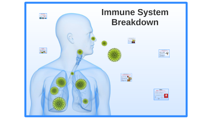Immune System Breakdown by Alexa Calkin on Prezi