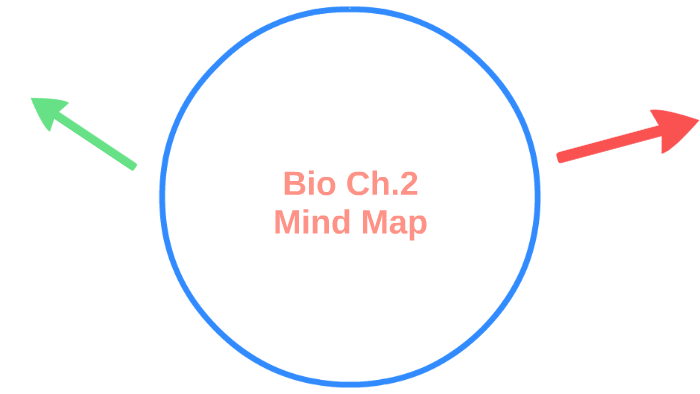BIO MIND MAP by RT malisa on Prezi