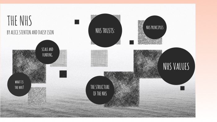 THE NHS by Daisy Ison on Prezi