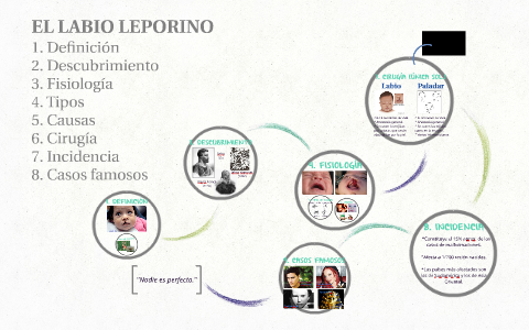 EL LABIO LEPORINO by marina titos on Prezi