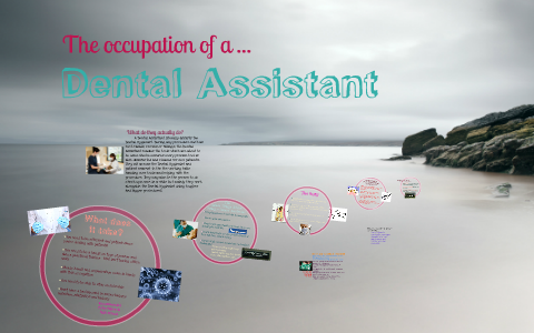 Job Shadow Prezi by Karly Butterfield on Prezi