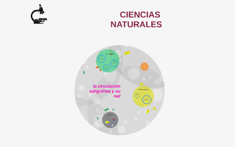 CIENCIAS NATURALES by Jacqueline Elizabeth Gauna