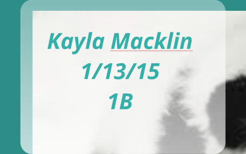 Pandas by Kayla Macklin