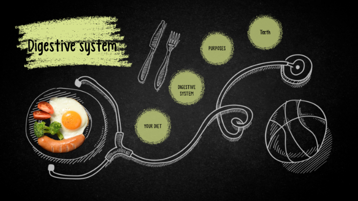 Digestive system by Delyth James-sitters on Prezi