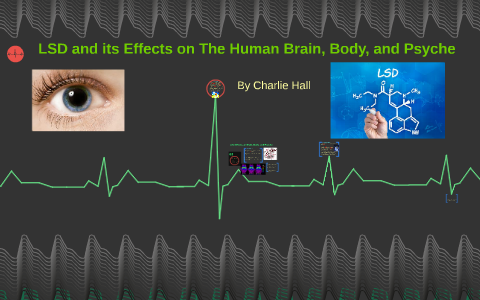 LSD and its effects on the human brain and body by Charlie Hall on Prezi
