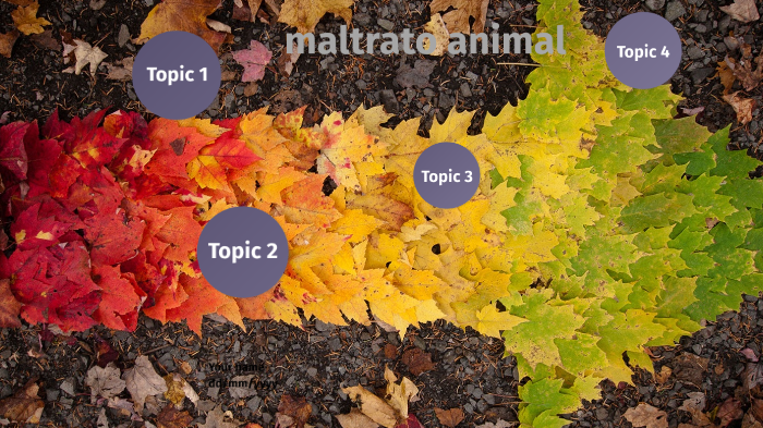 ana by yo mero mero on Prezi