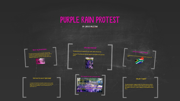 PURPLE RAIN PROTEST by carlos palestino on Prezi