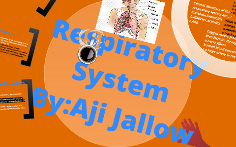 Respiratory System by Aji-Awa Jallow on Prezi