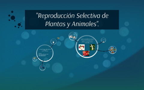 "Reproducción Selectiva de Plantas y Animales". by Rubi Hau on Prezi