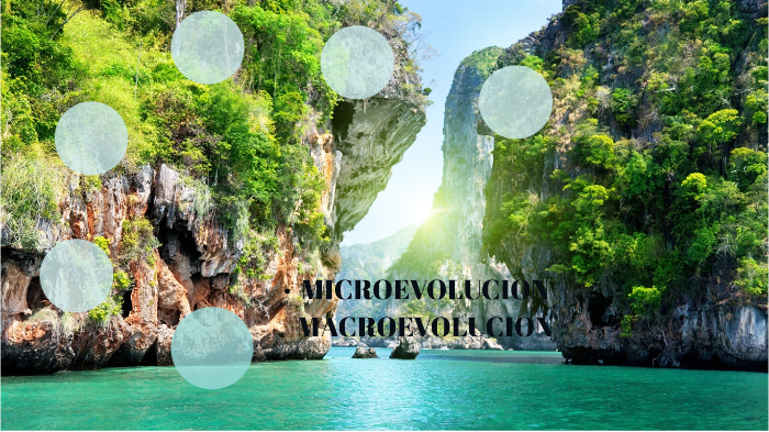 microevolucion y macroevolucion by Camila Soler on Prezi