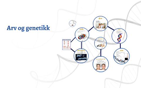 Arv og genetikk by Karoline Petronella Ulfsdatter Schau on Prezi