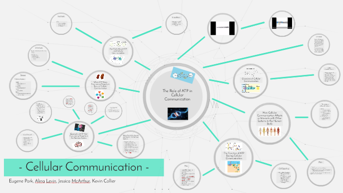 Cellular Communication by Eugene Park on Prezi