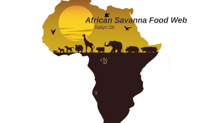 African Savanna Food Web by Railyn Ott on Prezi