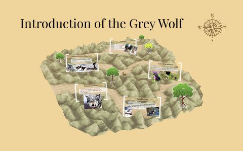 Introduction of the Gray Wolf by garrett bennett on Prezi