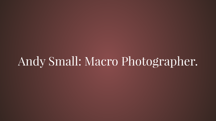 Andy Small: Macro Photographer by Cullen Kisner on Prezi