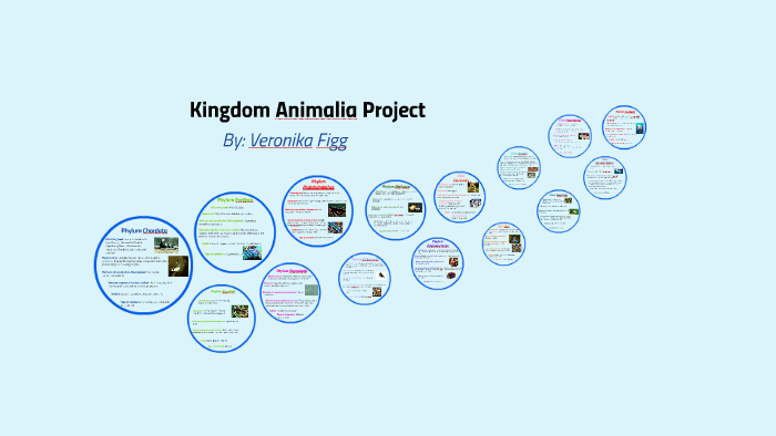 Kingdom Animalia Project Spring 2014 by Veronika Figg on Prezi