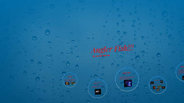 Angler Fish!!! by d doodle squishy on Prezi