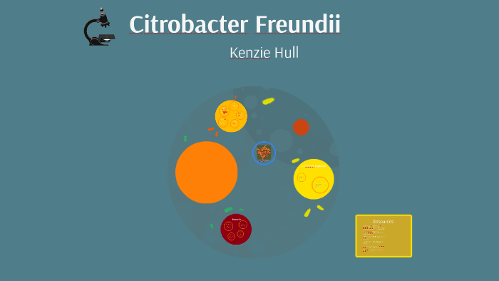 Citrobacter Freundii by kenzie hull on Prezi