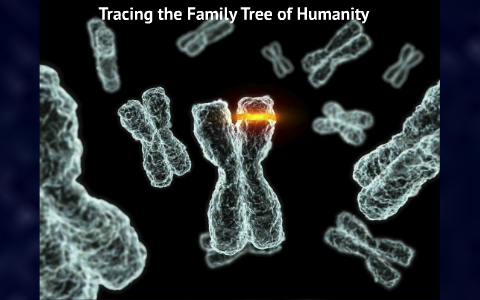 Family Tree of Humanity by Caleb Jenkins on Prezi