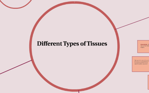 Different Types of Tissues by Jennifer Katra on Prezi