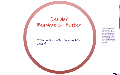 Cellular Respiration Poster by Myah Schulz on Prezi