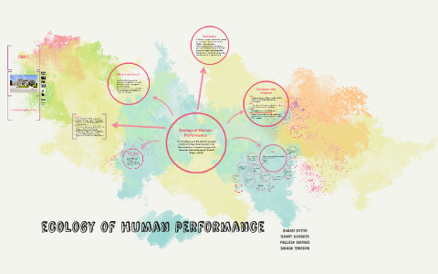 ecology of human performance by Bianca T on Prezi