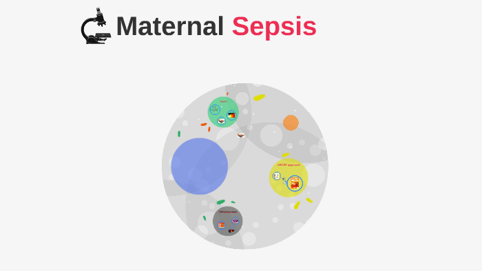 Maternal Sepsis by Natalie Hay on Prezi