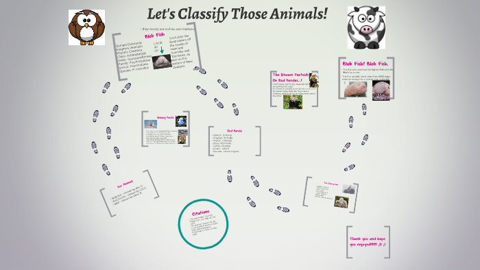 Let's Classify Those Animals!! by Christopher Rodolph