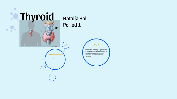 Thyroid Alien Gland by joanna ashley on Prezi