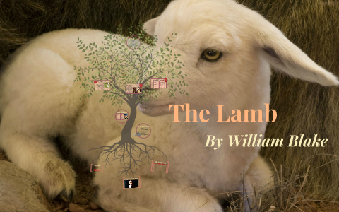 The Lamb By William Blake by Shaima' Ziara on Prezi