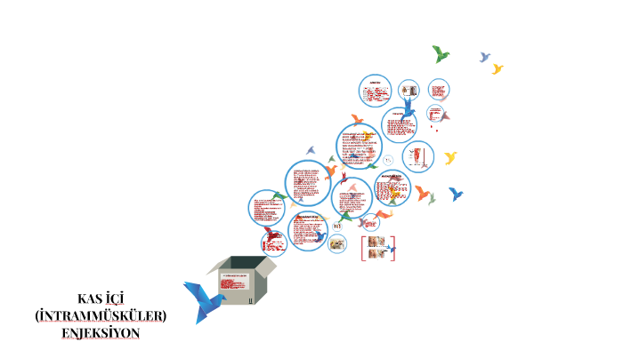 KAS İÇİ (İNTRAMÜSKÜLER) ENJEKSİYON by berna bayar on Prezi