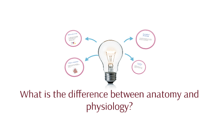 What is the difference between anatomy and physiology? by Ty Martin on ...