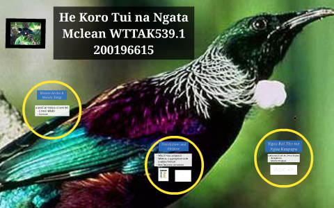 Waiata Aroha & Waiata Tangi by Tahu Rawiri