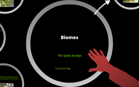 biomes - wetlands/swamps by drew dilley on Prezi