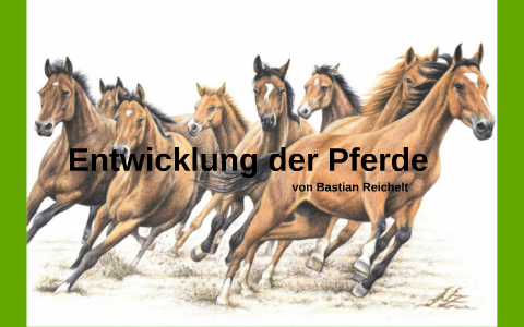 Entwicklung der Pferde by bastian reichelt on Prezi