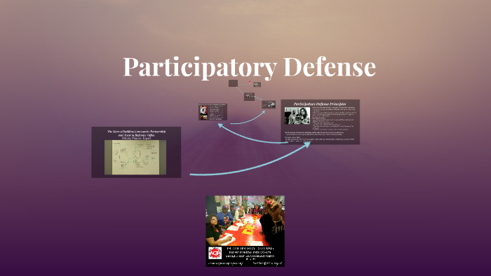 De-Bug/ACJP Training Session: Participatory Defense by Raj Jayadev on Prezi