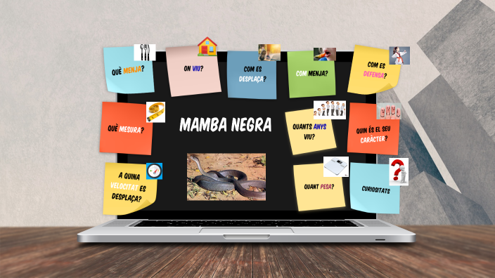 MAMBA NEGRA by SILVIA BLESA PUIG on Prezi