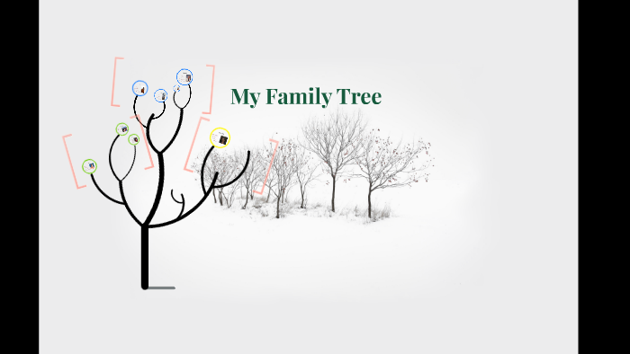My family tree by josh nolte on Prezi