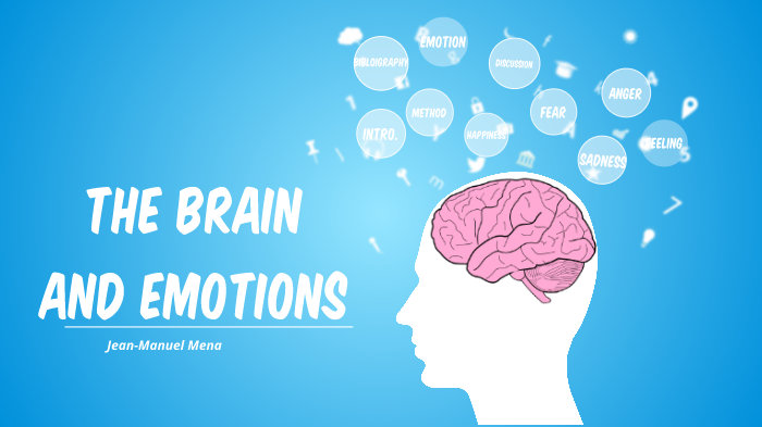 The brain and emotions by Jean-Manuel Mena on Prezi