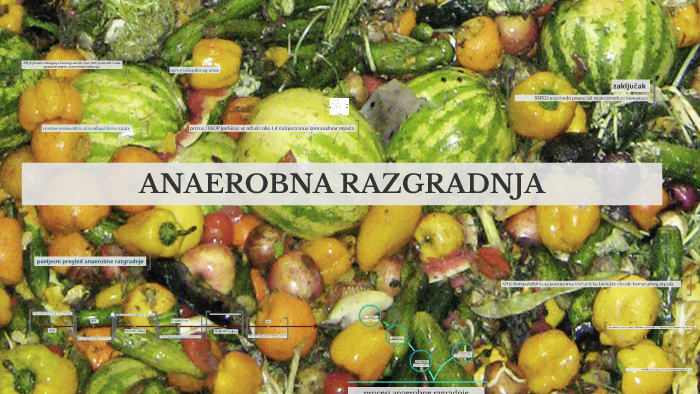 ANAEROBNA DIGESTIJA by Giuliano Grum on Prezi