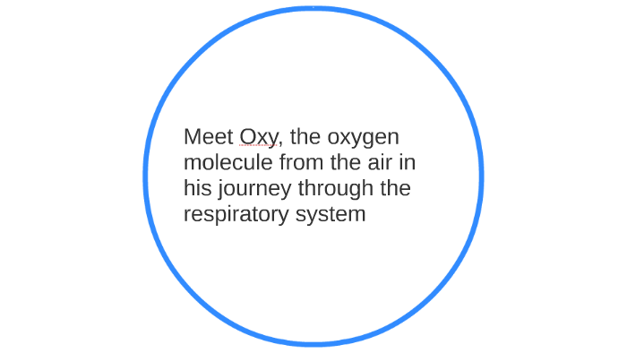 Journey of an Oxygen Molecule by Susana M on Prezi