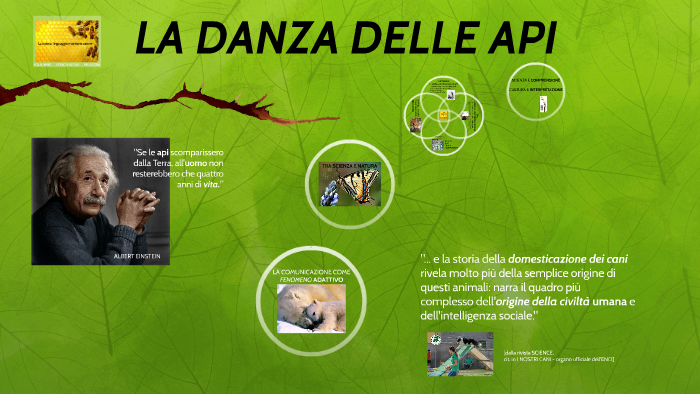 LA DANZA DELLE API by DIEGO DELLAVEGA