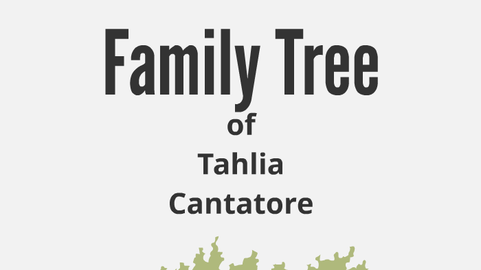 family tree by tahlia cantatore