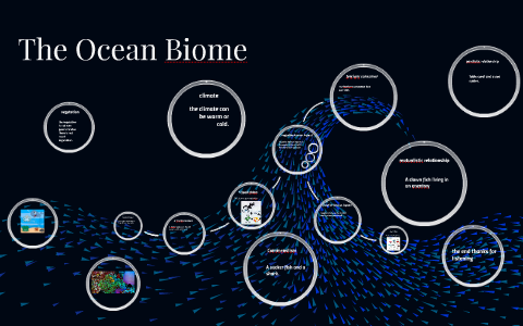 The Ocean Biome by Emma P on Prezi