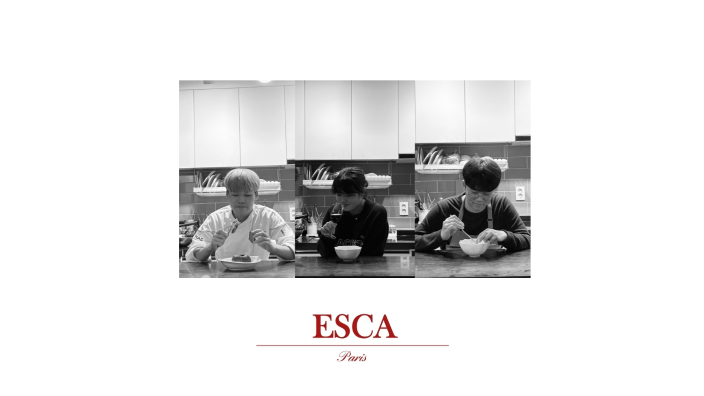 ESCA_group project by on Prezi