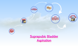 Suprapubic Bladder Aspiration by Vane Elizabeth on Prezi