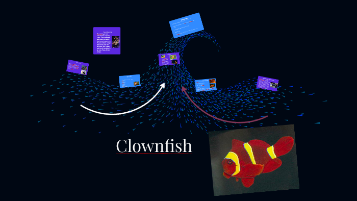 Revised Copy of Clownfish by Hannah Rush on Prezi