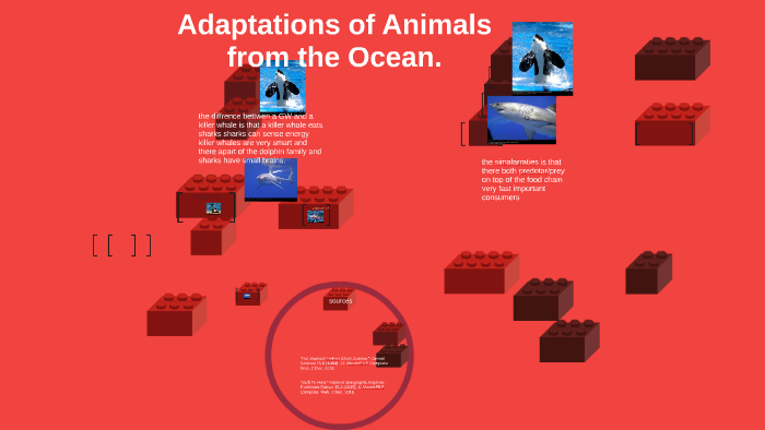 Adaptations of animals from the ocean. by Dominick0 Smith on Prezi
