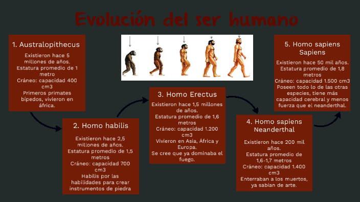 Evolución ser humano by Violeta Guerrero on Prezi
